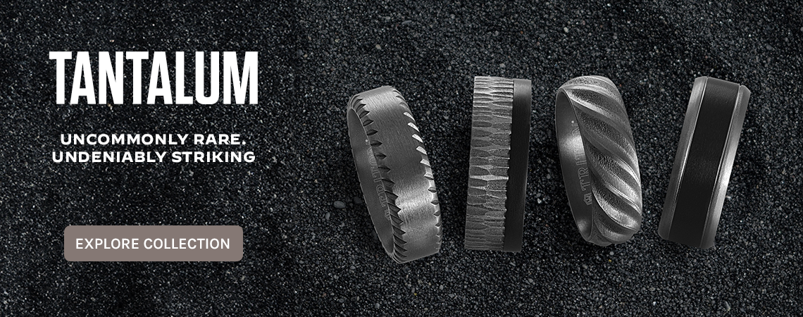 TRITON BRAND PAGE | Frederick Goldman, Inc. B2B Portal